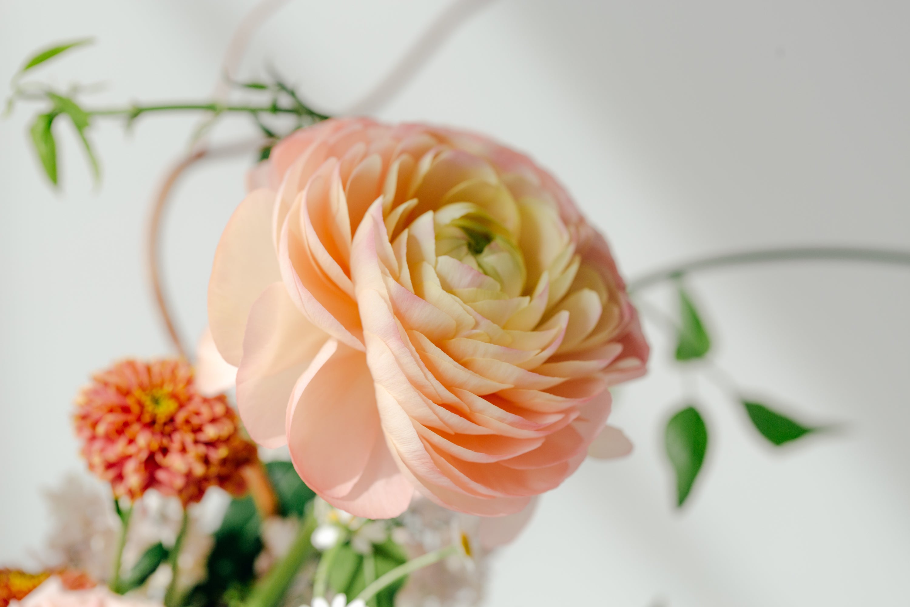 Evans Flowers